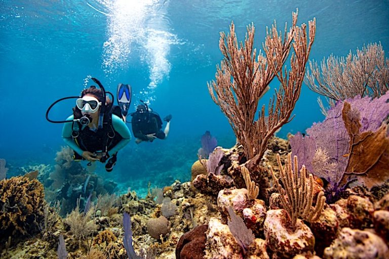 PADI launches world map diving guide